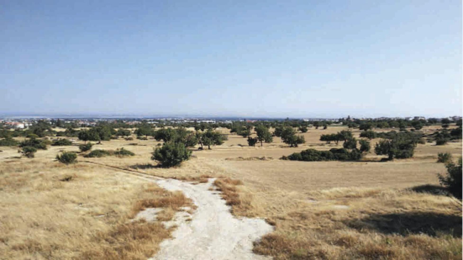 Visionary Land with Permits | M.Residence