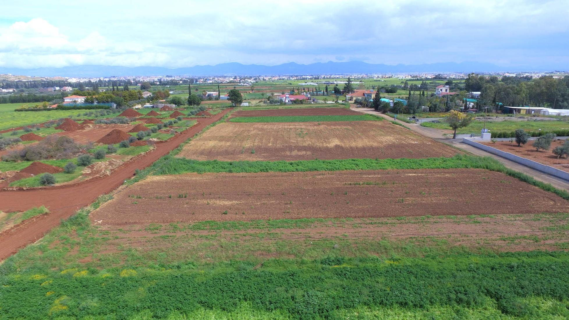 Lapatsa Area Corner Plot | M.Residence